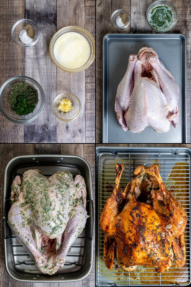 Herb-Roasted Turkey and Gravy - The Night Owl Chef